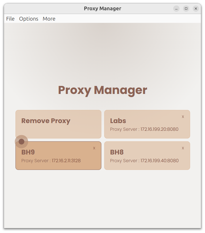 Proxy Manager